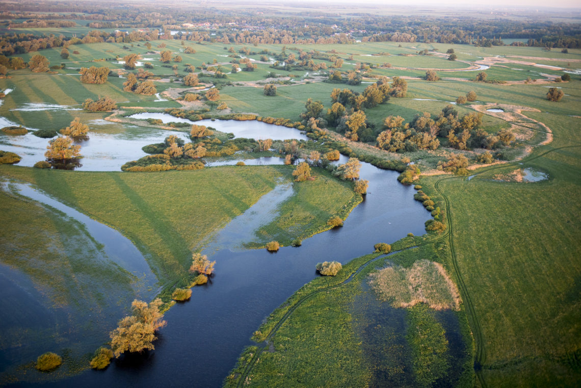 Rieka Morava a jej záplavové lúky sú výnimočné. Chystá sa obnova ...
